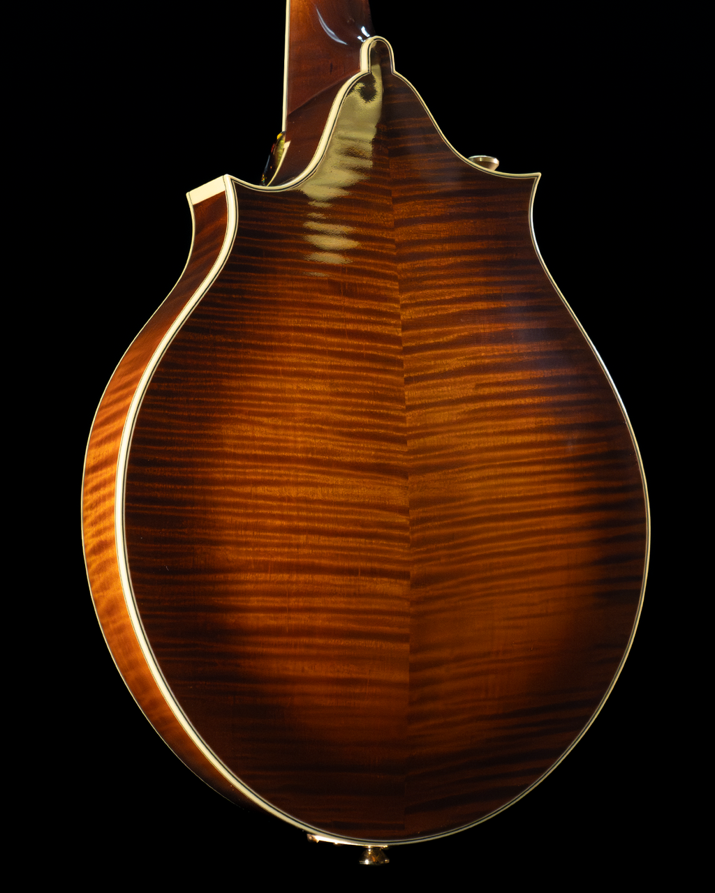 Acoustic Music Works - Guitars, Banjos, Mandolins & Good Company